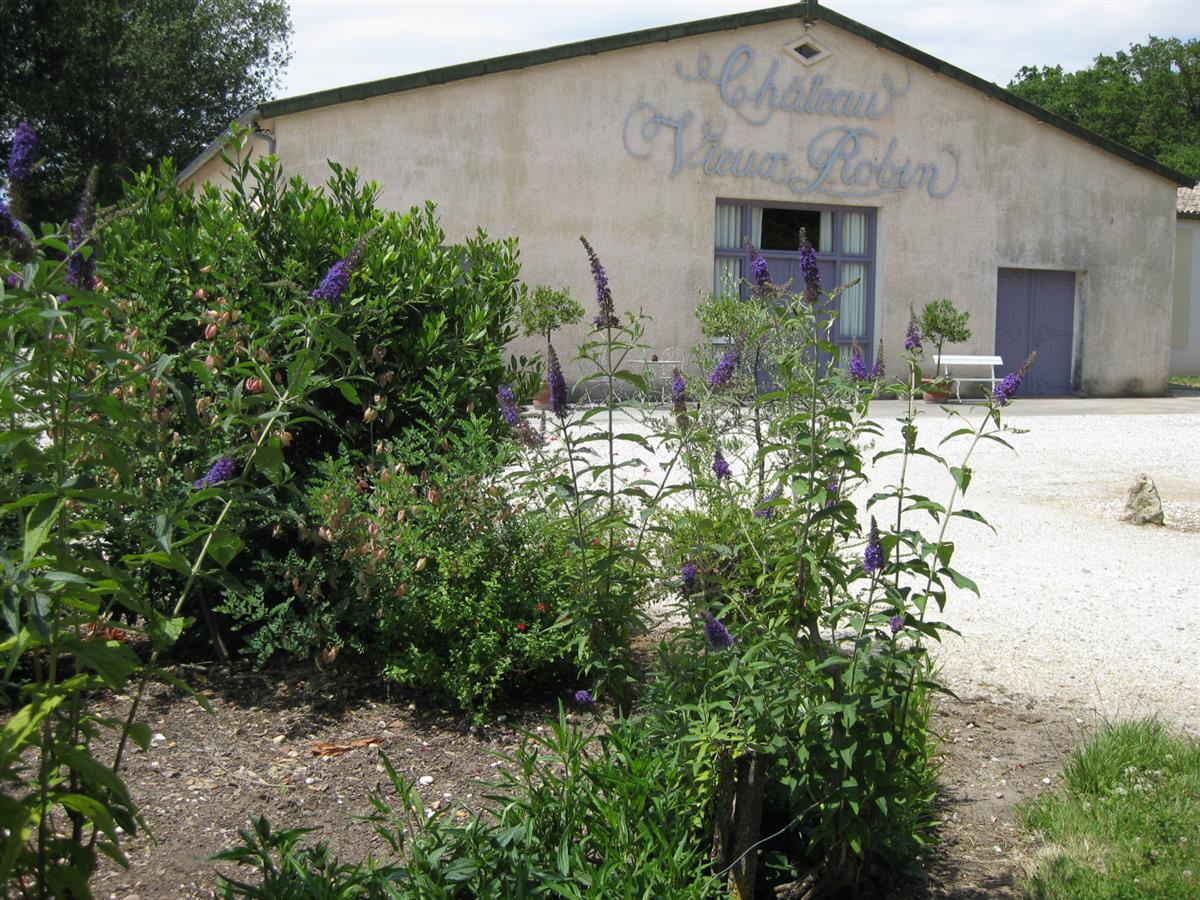 Château Vieux Robin – Bordeaux Wine trip